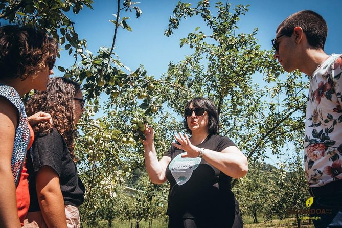 Basque Cider House Guided Tour + Meal From San Sebastian - Unique Features of the Tour