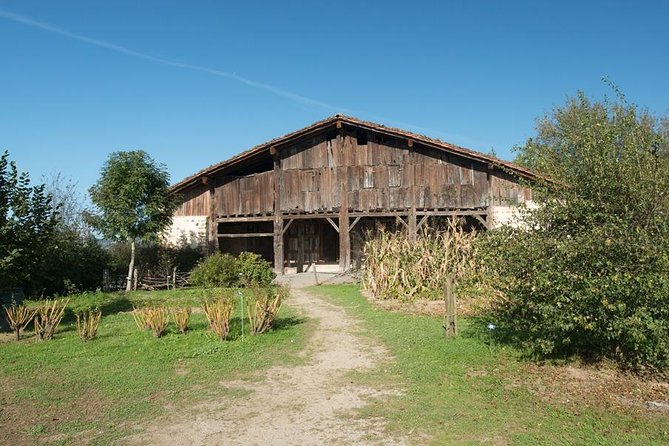 " Basque Farm House & Cider house" tour + meal from San Sebastian - Who Should Consider This Tour?