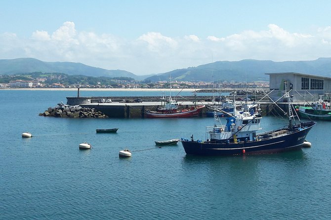Basque-French Coastline Private Experience - Relax in Air-Conditioned Transport and Hassle-Free Logistics