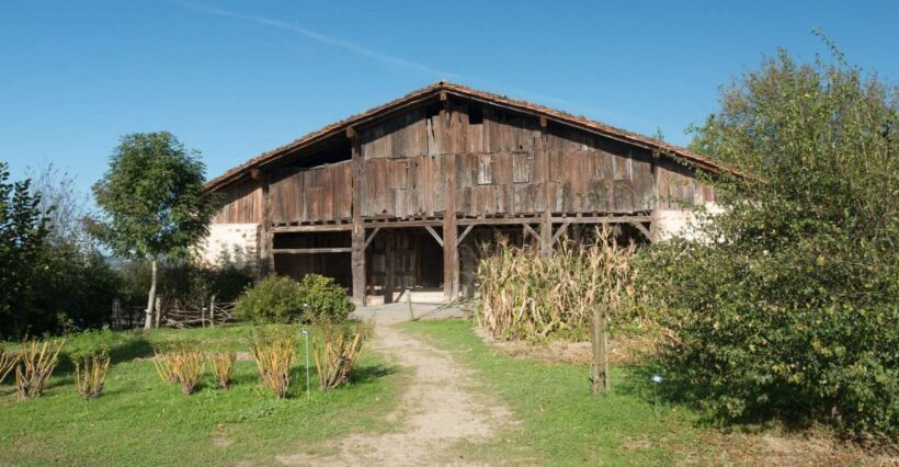 Basque Press Farm and Traditional Cider House with transport - A Walk Through History at Igartubeiti Farm