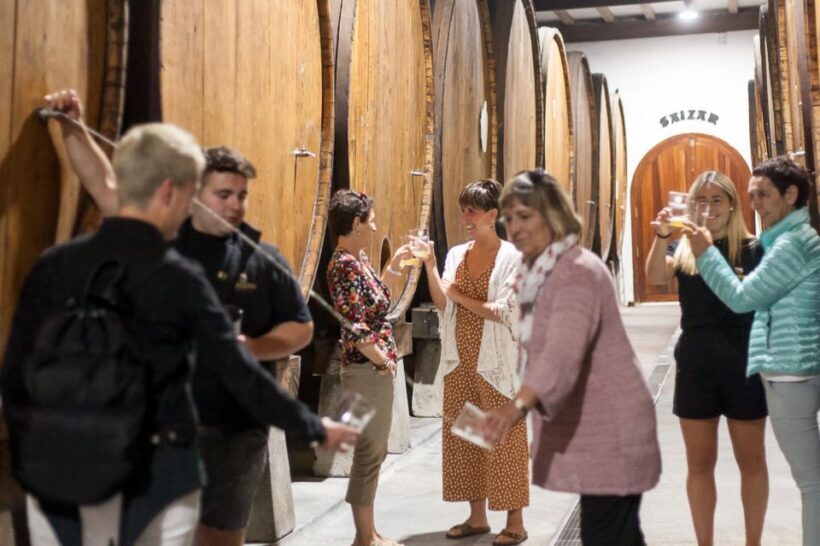 Basque Press Farm and Traditional Cider House with transport - Who Should Consider This Tour?