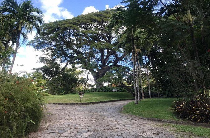 Basseterre Half Day Tour - FAQ – Your Practical Questions Answered