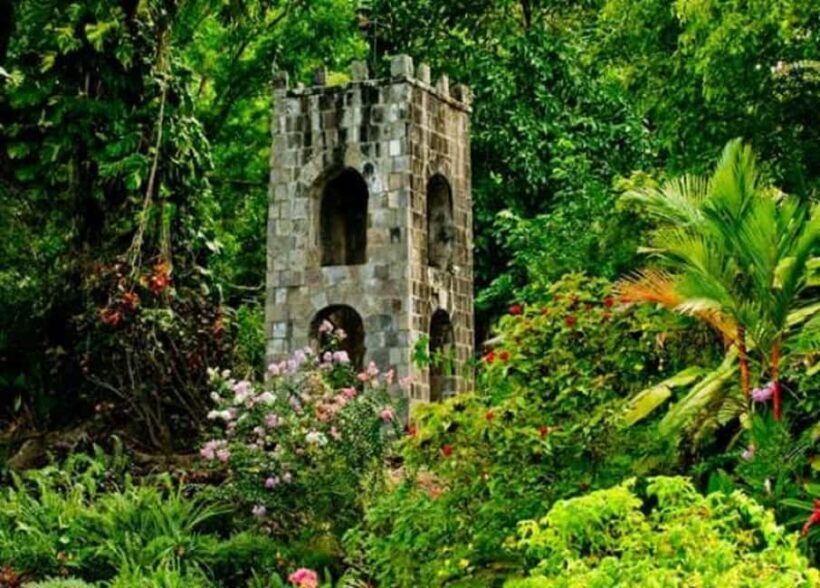 Basseterre: Plantation and Beach Extravaganza - Exploring the Details of the Tour