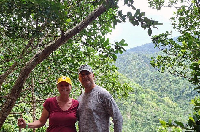 Basseterre Rainforest Hike - The Experiences Authenticity