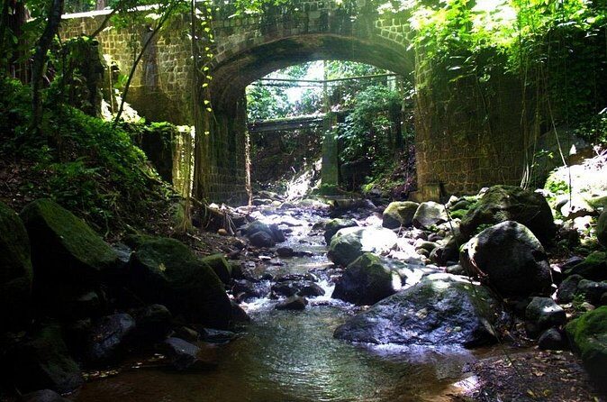 Basseterre Rainforest Hike - Who Will Love This Tour?