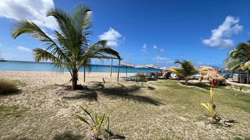 Basseterre: St. Kitts and Nevis Catamaran Tour with Lunch - Depth of the Experience