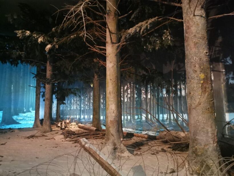 Bastogne, Battle of the Bulge Private Tour - An In-Depth Look at the Bastogne Battle of the Bulge Private Tour