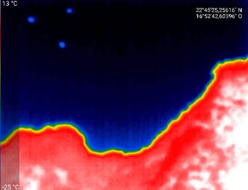 Bat Watching Madeira - Why It’s Worth the Price