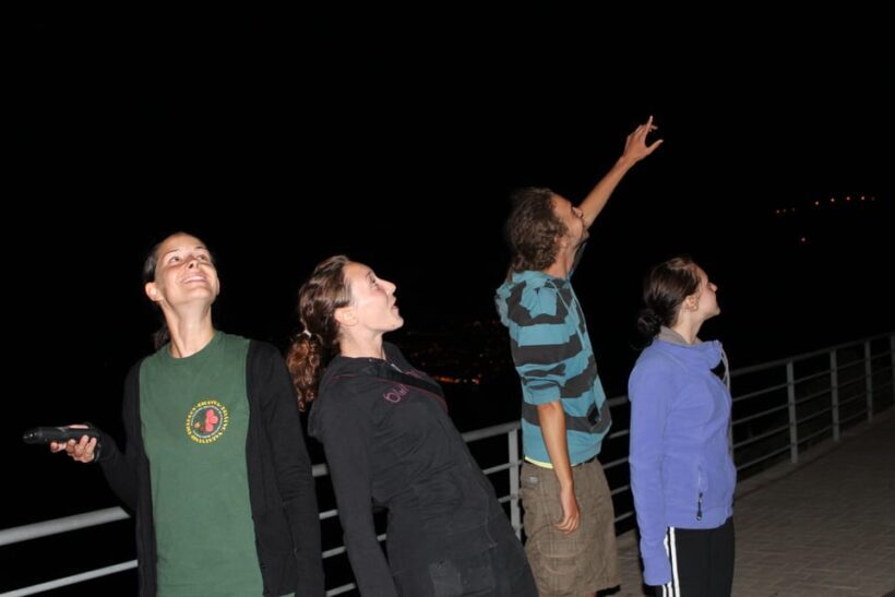 Bat Watching Madeira - FAQ