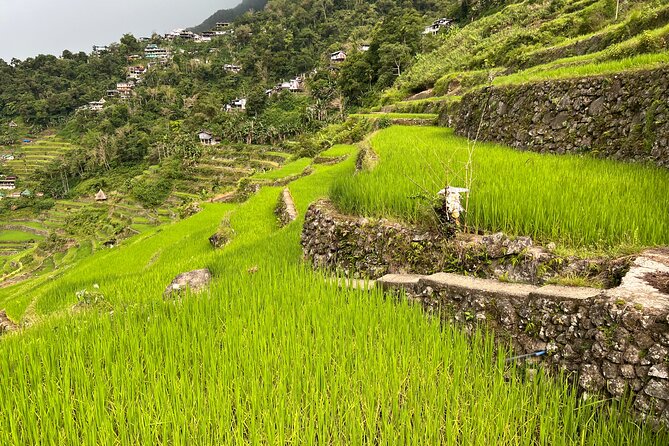 Batad Guided Tour - A Deep Dive into the Batad Guided Tour