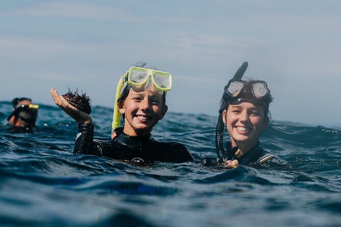 Batemans Bay Glass-Bottom Kayak Tour Over 2 Relaxing Hours - FAQs