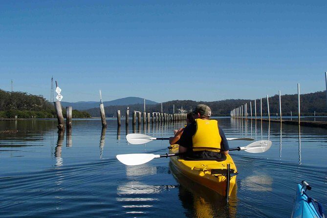 Batemans Bay Oyster Tasting Kayak Tour - Why is this tour special?