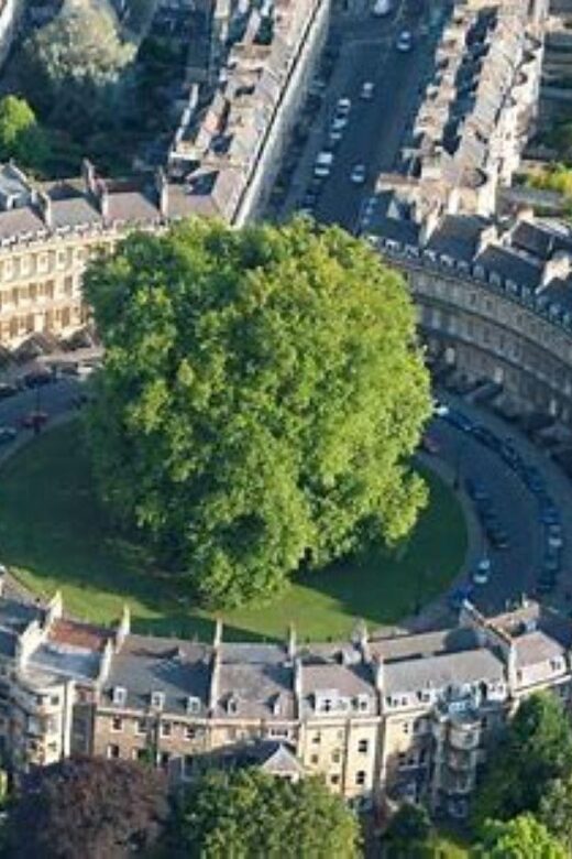 Bath: Guided walking tour of Historic Sights & Pubs (3h) - A Detailed Look at the Tour Experience