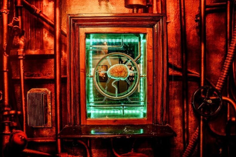 Bath: Mary Shelley's House of Frankenstein Entrance Ticket - What to Expect at Mary Shelleys House of Frankenstein