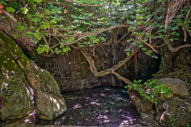 Baths of Aphrodite, Latchi and Blue Lagoon Cruise Tour - Who Will Love This Tour?