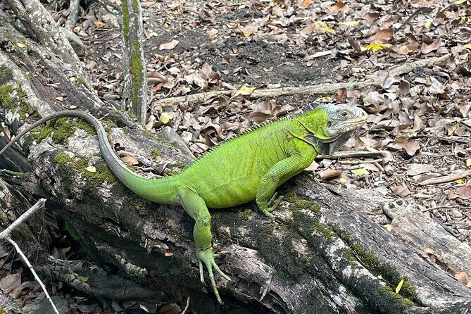 Bathtub of Josephine and Islands Half day Boat trip - FAQ