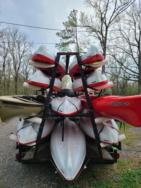 Baton Rouge: Kayak Tour Through the Historic Atchafalaya - Frequently Asked Questions