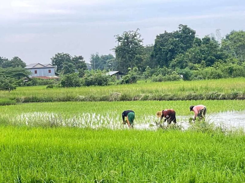 Battambang: Bamboo Train, Bat Cave and Killing Cave Tour - Authentic Experiences That Stick