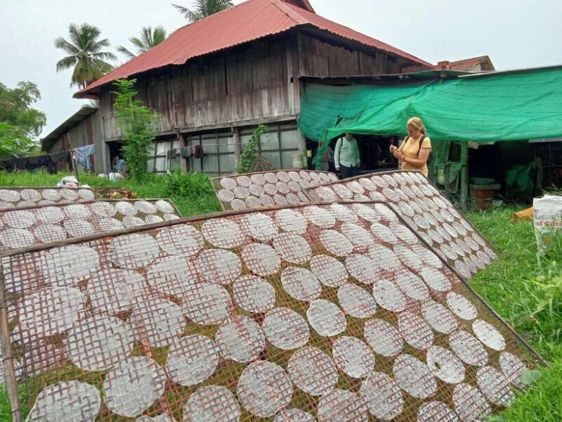 Battambang: Local Livelihood Bike Tour - Key Points
