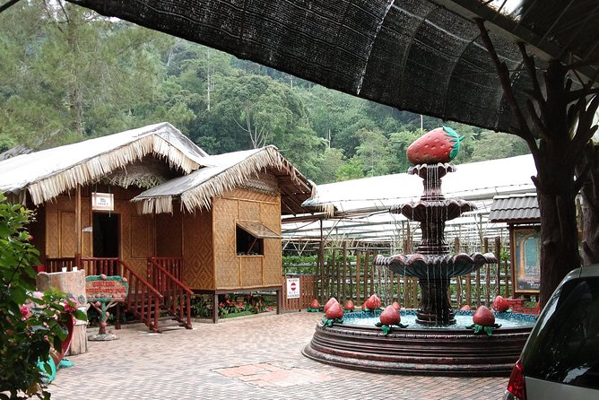 Batu Caves and Genting Highland Tour - The Sum Up: Is It Worth It?