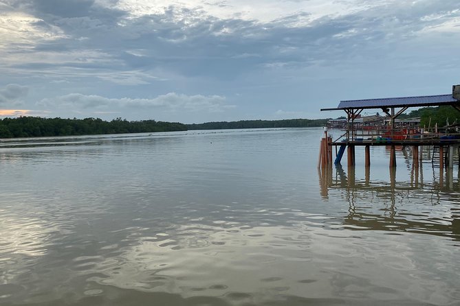 Batu Caves and Watching Fireflies in Kuala Selangor - The Sum Up