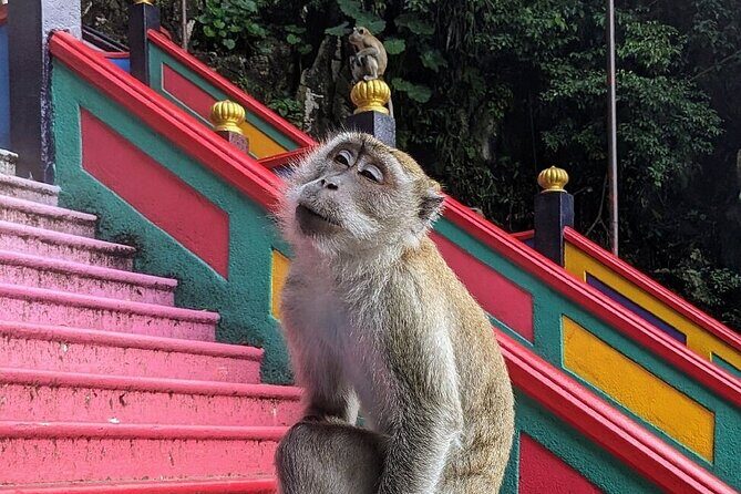 Batu Caves, Waterfalls and Hot Springs Tour With Lunch - Healing Waters: Selayang Hot Springs