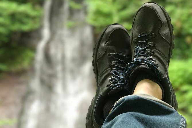 Batumi & Mtirala N.P. Hiking Tour From Kutaisi - Overview of the Batumi & Mtirala National Park Tour