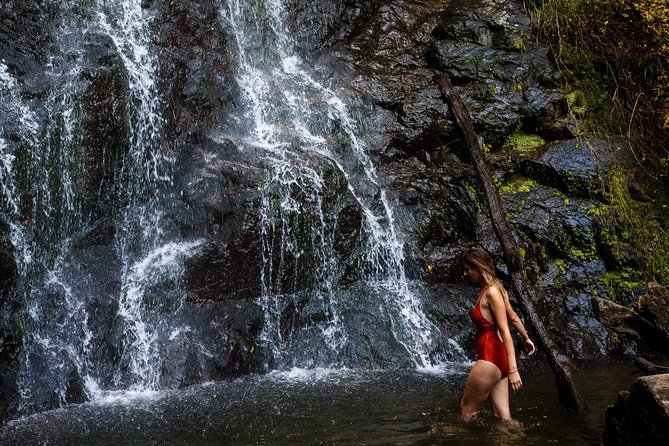 Batumi & Mtirala N.P. Hiking Tour From Kutaisi - Health and Safety Guidelines