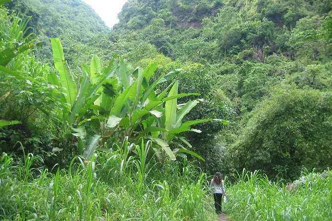Batur Caldera Sunrise Trekking - The Trek Up the Caldera Wall