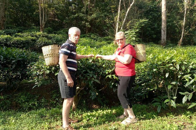 Bau Thong Waterfalls, Tea, and Wat Ban Den Private Tour - Final Thoughts