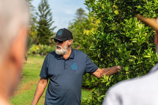 Bauntis Farm and Industry Tour in Norfolk Island - Key Points