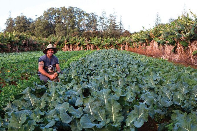 Bauntis Farm and Industry Tour in Norfolk Island - Practical Considerations and Tips