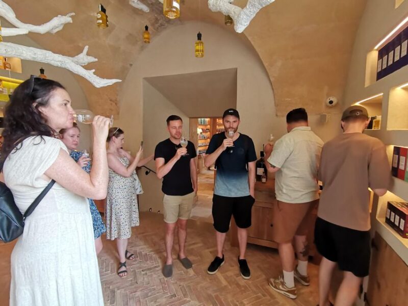 Baux and Saint Rémy de Provence: History Wine and Landscapes - Art, Light, and Culture in Saint Rémy de Provence