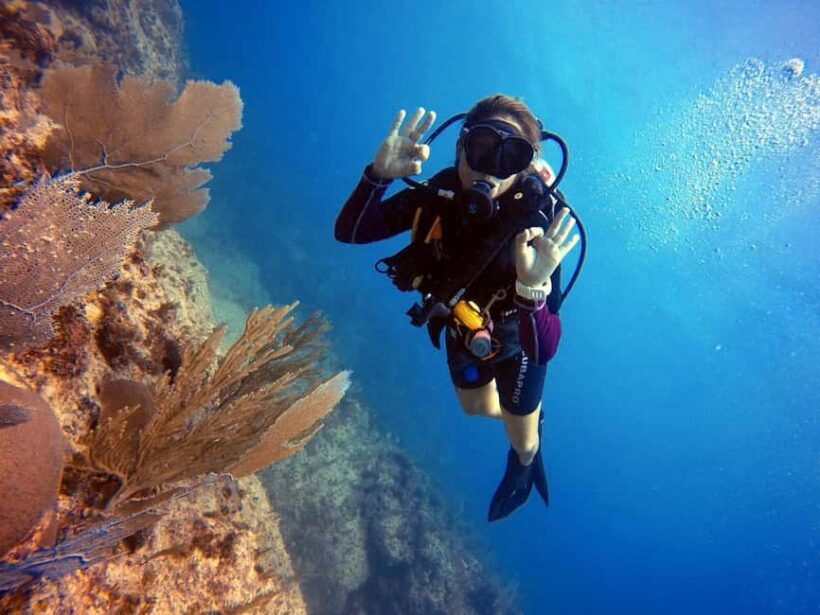 Bávaro: Catalina Island Diving Tour with BBQ & Drinks - Final Thoughts