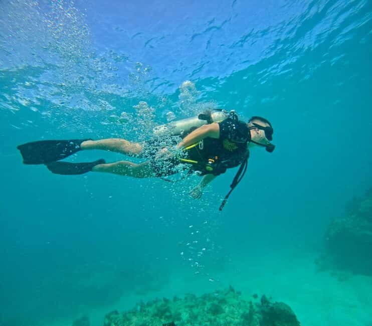 Bávaro: Scuba Diving Experience for Beginners - Key Points