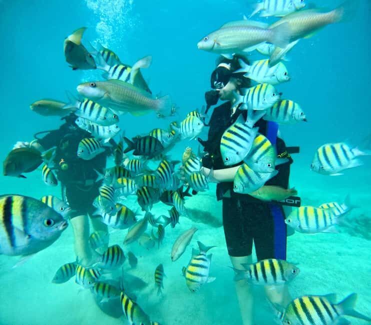 Bávaro: Scuba Diving Experience for Beginners - What Participants Say