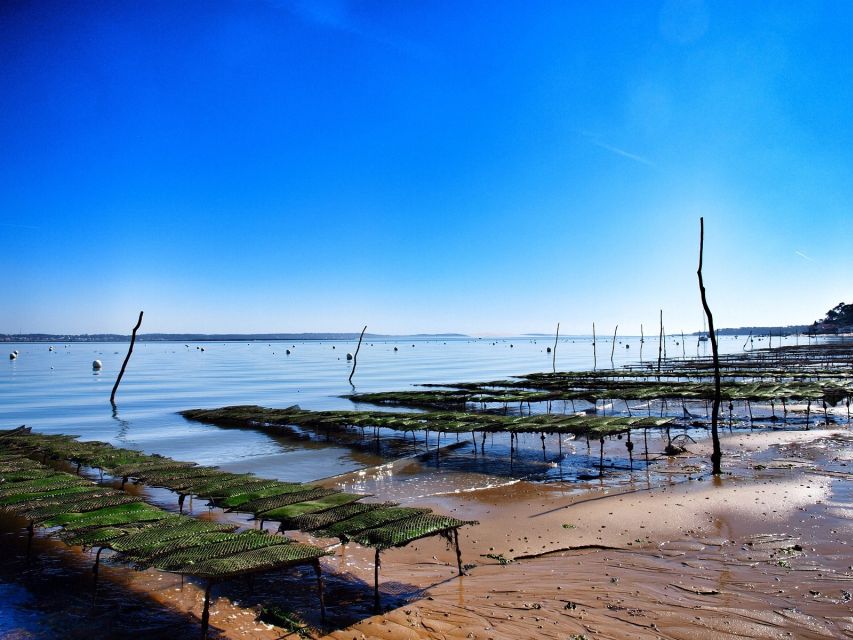 Bay of Arcachon: Guided Food Tour - What Travelers Say