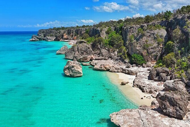 Bay of Eagles VIP : Full Day to Paradise From Santo Domingo - The Experience and Service