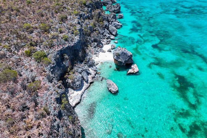 Bay of Eagles VIP : Full Day to Paradise From Santo Domingo - Who Should Consider This Tour?