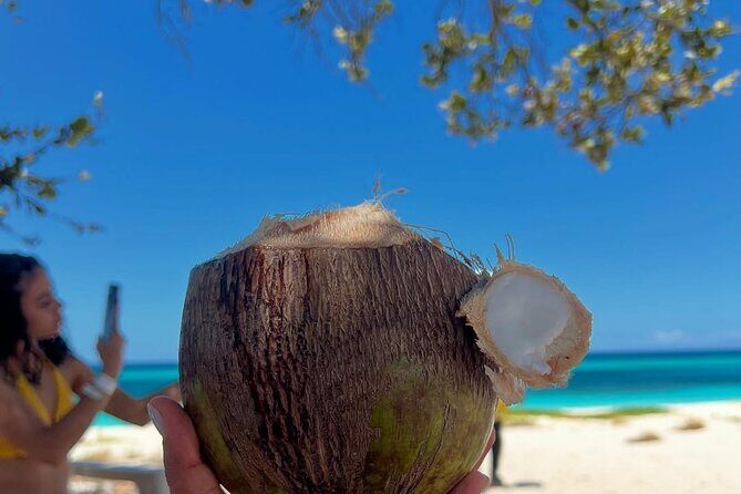 Bay of Eagles VIP : Full Day to Paradise From Santo Domingo - The Sum Up