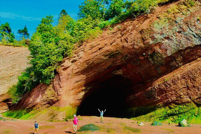 Bay Of Fundy Guided Tour - The Nuts and Bolts: Practical Details
