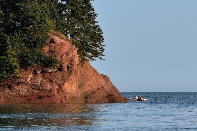 Bay Of Fundy Guided Tour - Who Will Love This Tour?