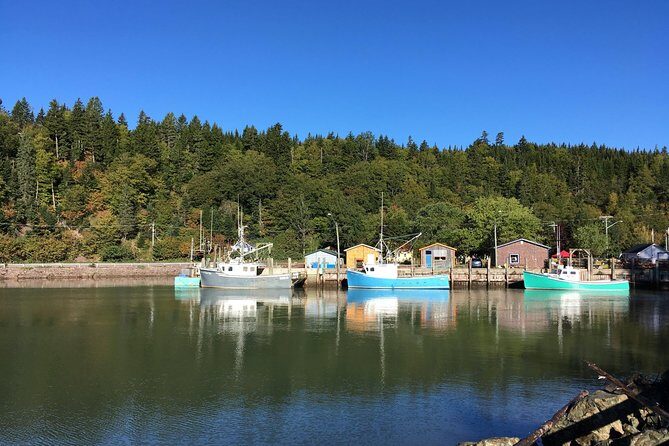 Bay of Fundy Tour by Bus - Detailed Breakdown of the Tour Experience
