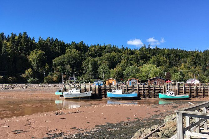 Bay of Fundy Tour by Bus - Who Is This Tour Best For?