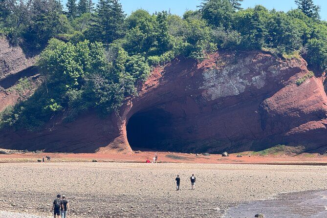 Bay of Fundy Tour Saint John NB - The Itinerary in Detail: What You Can Expect