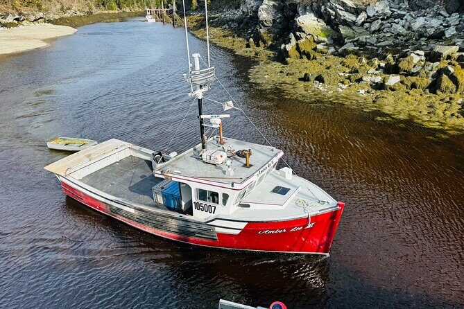 Bay of Fundy Tour Saint John NB - The Bottom Line: Is It Worth It?