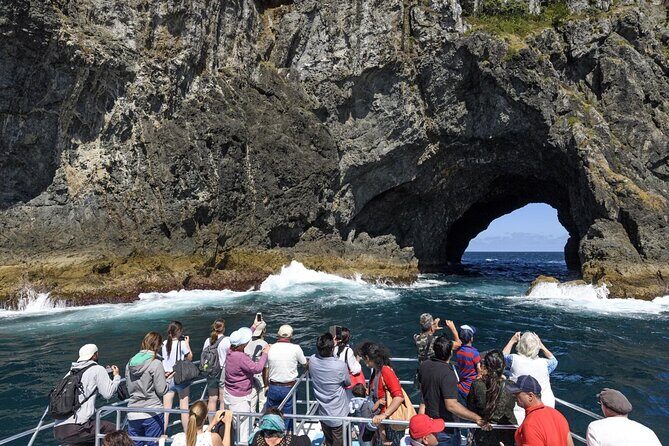 Bay of Island Day Tour with Hole in the rock cruise from Auckland - An In-Depth Look at the Tour Itinerary