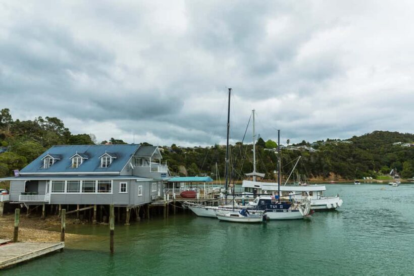 Bay of Islands: 1 Hour Scenic Bay of Islands Tour - What to Expect from Your One-Hour Journey