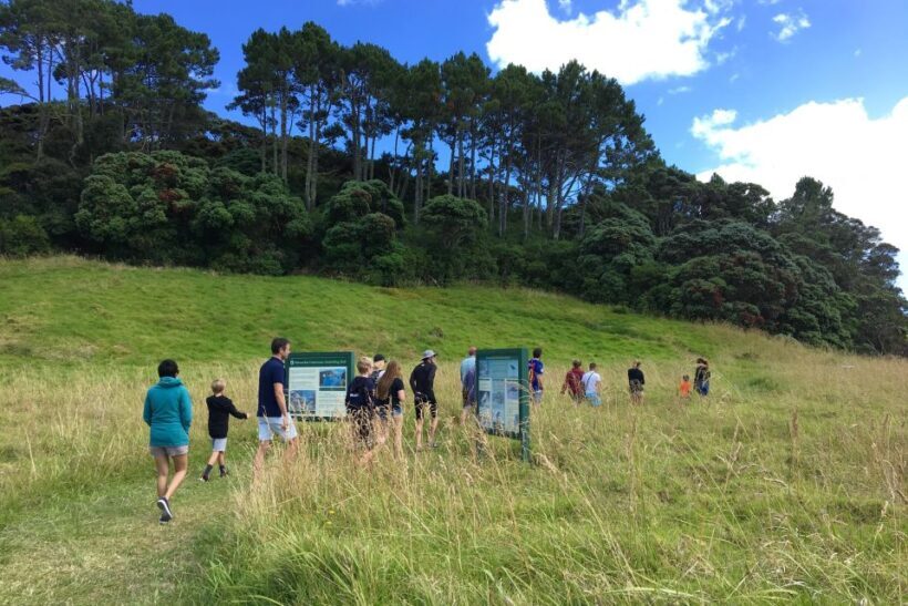 Bay of Islands: 4.5 Hour Day Cruise and Island Getaway Tour - Who Should Consider This Tour?