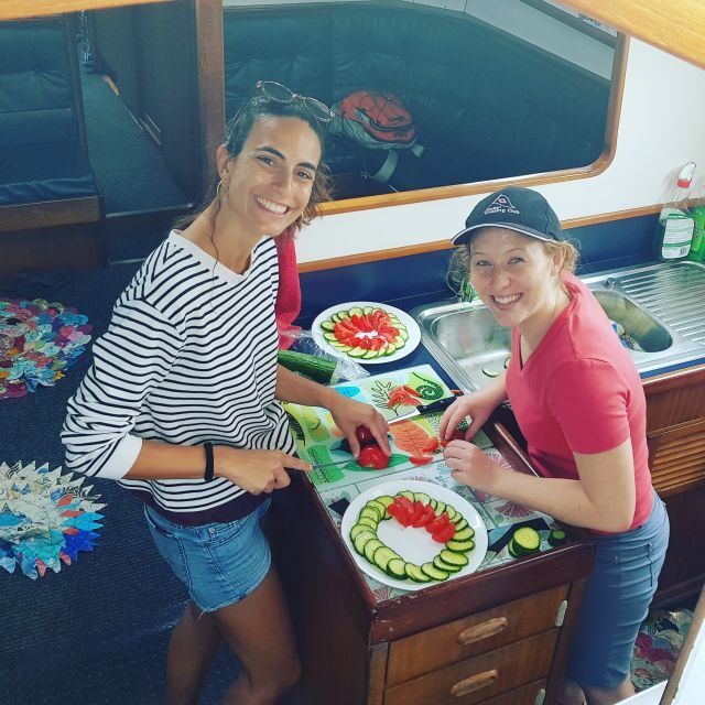 Bay of Islands: Awesome Day Sailing Tour with Island Stop - The Experience: What Travelers Say
